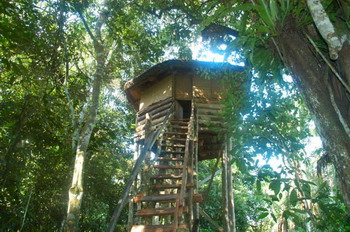 Primate Lodge - Kibale - Kibale Forest National Park, Uganda, Africa